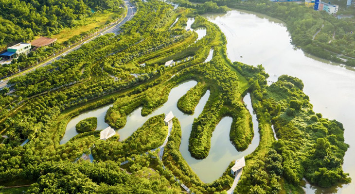 China’s sponge city model can reduce urban flooding by 90%: Experts-INP