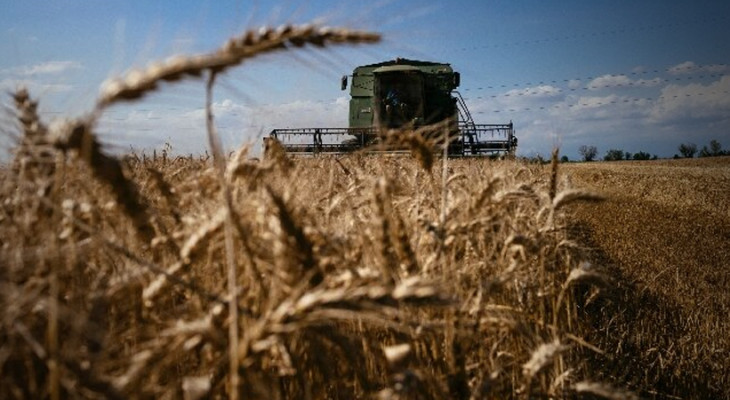 Corporate farming can help increase food production in Pakistan-INP