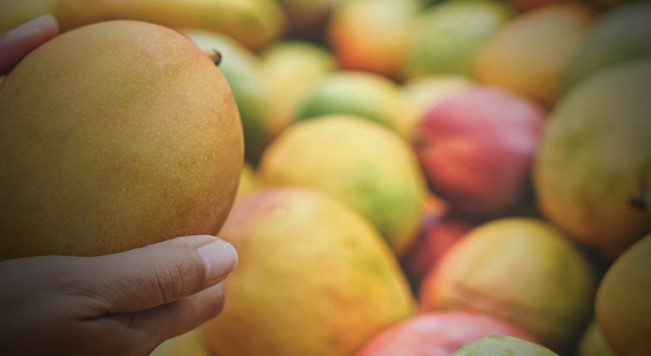 Pakistan can boost mango exports by improving quality-INP