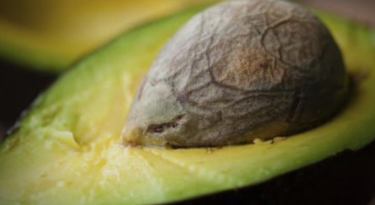 Domestication of avocado set to boost production in Pakistan-INP