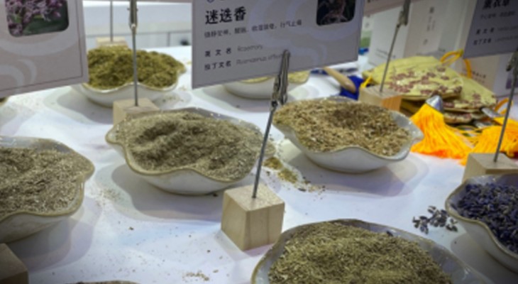 2023 CIFTIS forum held to promote TCM development along BRI-INP