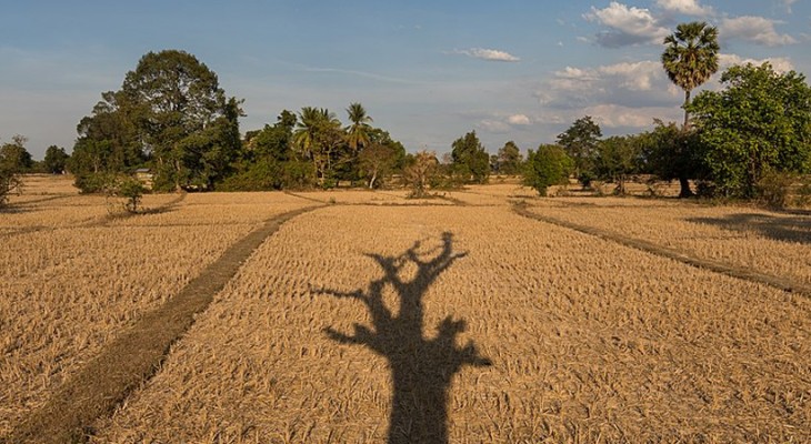 Dry weather likely to prevail over most parts of country-INP