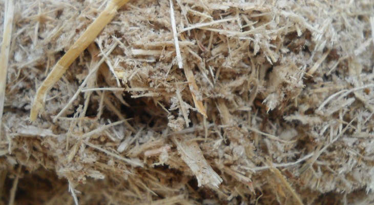Power generation thru bagasse a viable option for Pakistan: WealthPK-INP