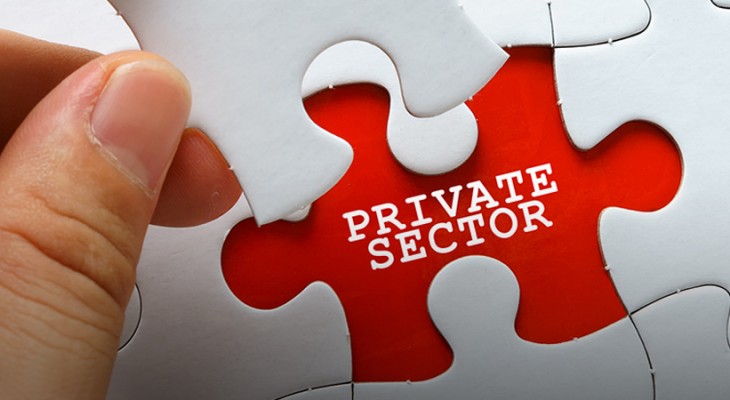 Achieving private sector-led growth requires coordinated efforts by all ...