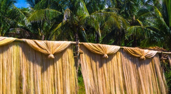 Spinnable banana fiber set to revolutionize textile industry-INP