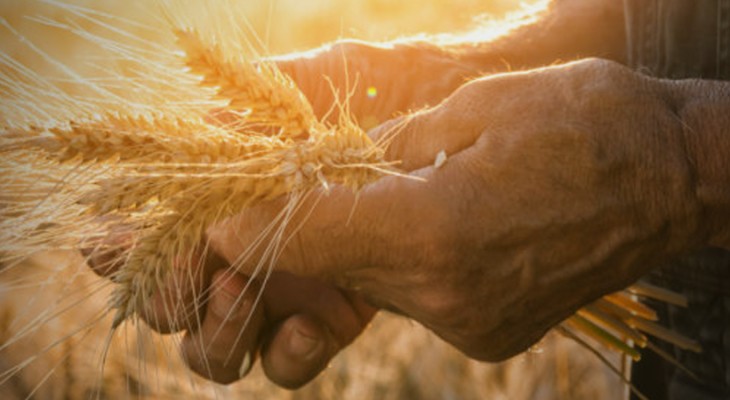 Steps urged to discourage exploitation of farmers by middleman-INP
