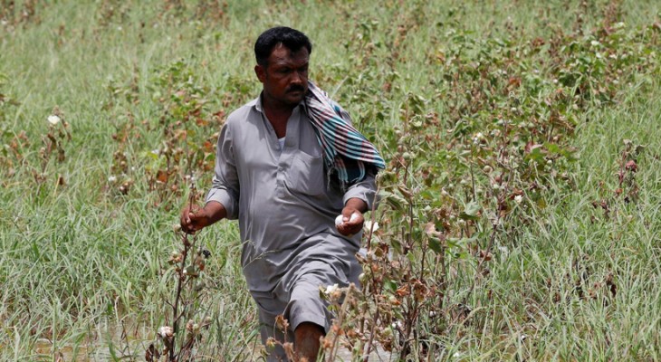 Steps urged to discourage exploitation of farmers by middleman-INP