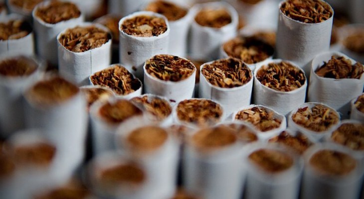 Pakistan Tobacco Company Limited posts 35.7% growth in profit-INP