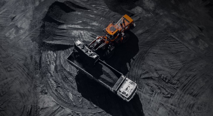 Biomining critical for cutting costs-INP