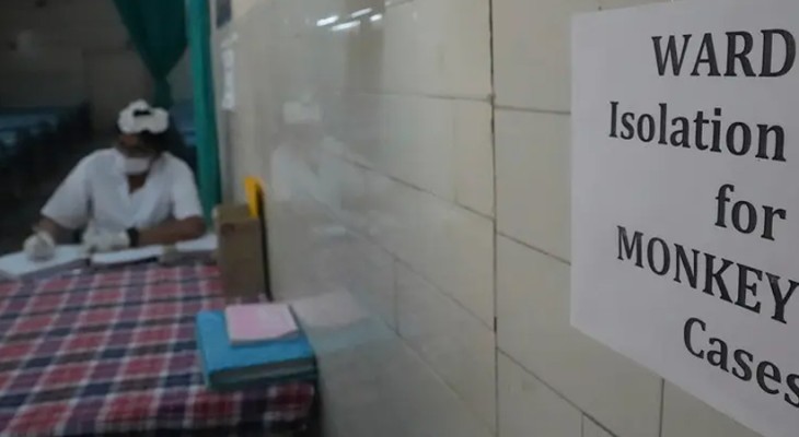 Monkeypox: Isolation Ward and PCR Lab Established at Gilgit PHQ ...