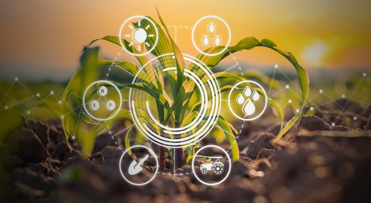 Pakistan’s agriculture sector adopts modernization amid challenges-INP