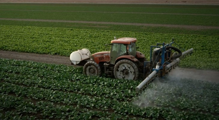 Latest cultivation techs, climate-resilient crops to help Pakistan’s ...