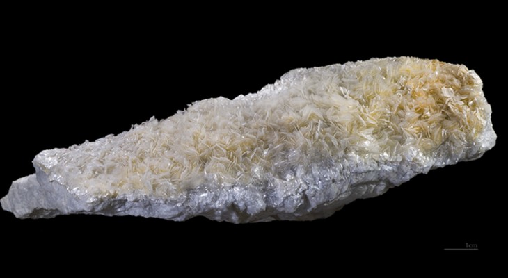 Local talc processing can help cut hard rubber import bill-INP