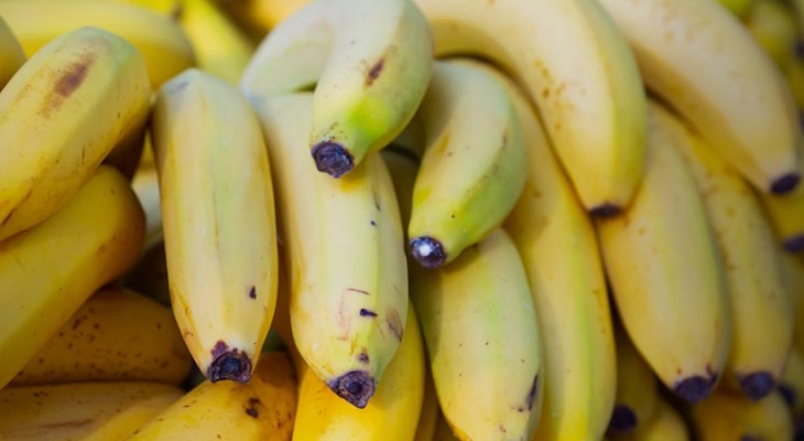 Sindh govt to establish model farms to enhance banana value addition-INP