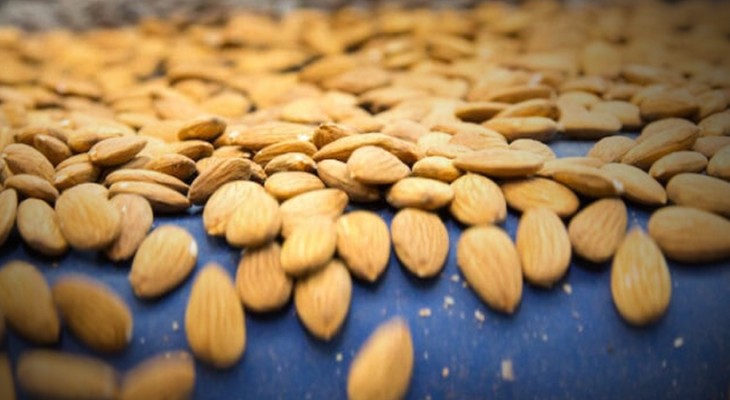Climate change, lack of modern techniques threaten Balochistan’s almond ...