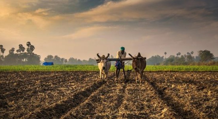 Outdated farming methods cost Pakistani growers dear-INP