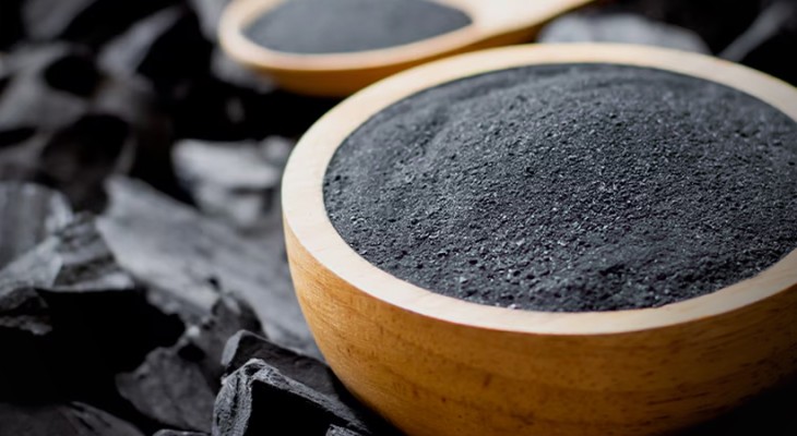 Local production of edible carbon advocated to cut import bill-INP