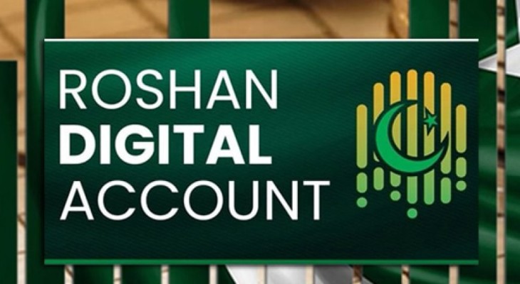8,653 new Roshan Digital Accounts opened in February 2025-INP