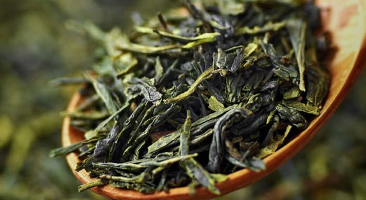 Promoting tea farming in Pakistan can help save $600m annually: Expert-INP