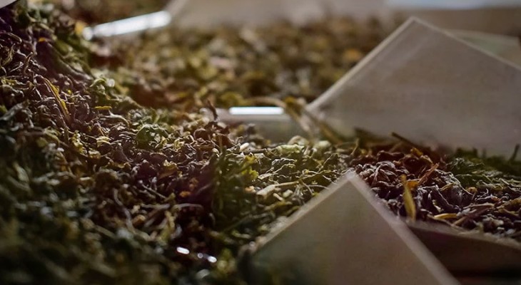 Pakistan asked to tap its vast potential in tea production-INP