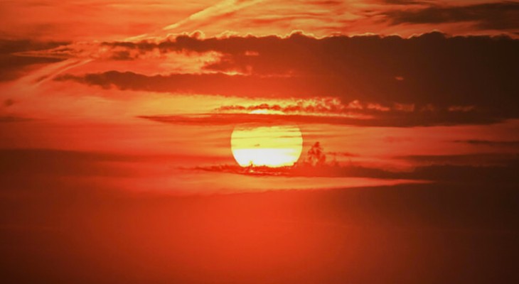 Cold-climate pears thrive in Multan’s scorching heat-INP