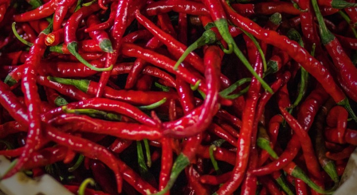 Chili cultivation slightly up in Pakistan but misses 2025-26 target-INP